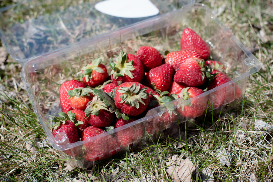 Labels for Clamshell Packaging - PaladinID, LLC