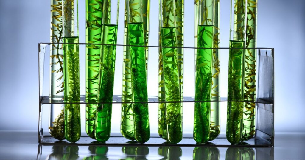 Custom Color Labels: The New Frontier in Biotech Product Identification